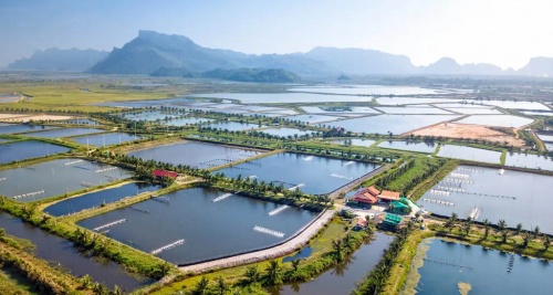 Vai trò của khoáng vi lượng cho tôm | khoáng rotamin